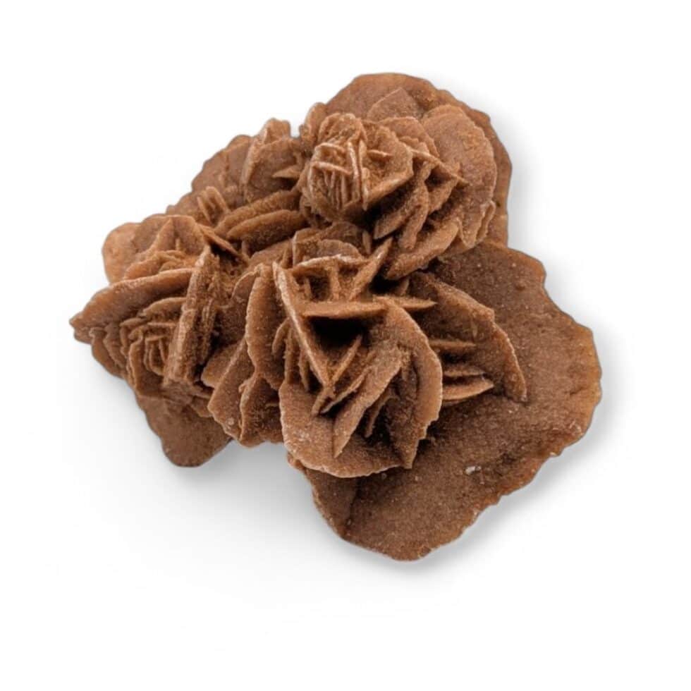 Prix Des Roses Des Sables